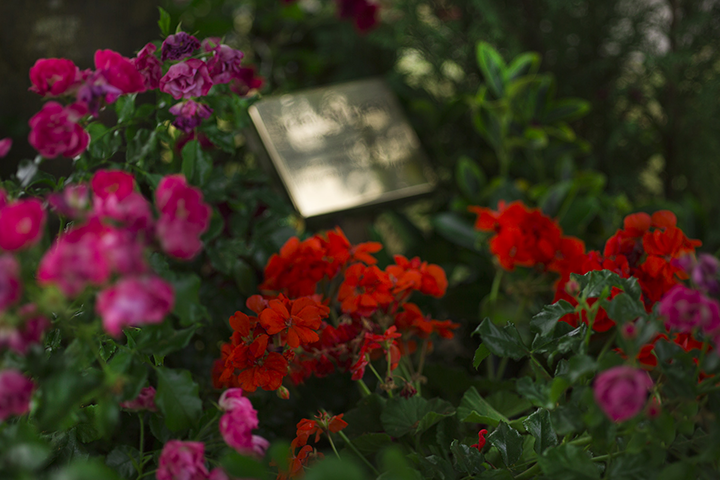 La destination des cendres après une crémation